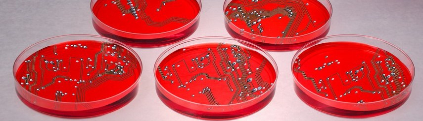 Protect Your Engineering Culture As You Scale: Write Down Your Team’s ...